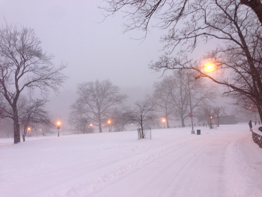 Ode to a chilly night – | My Inwood