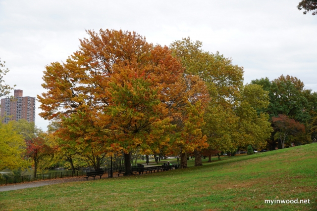 Inwood In Autumn: Photo Gallery| My Inwood